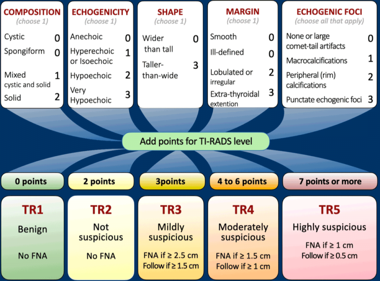 TI-RADS Calculator: USG Thyroid Nodule Score - RadioGyan
