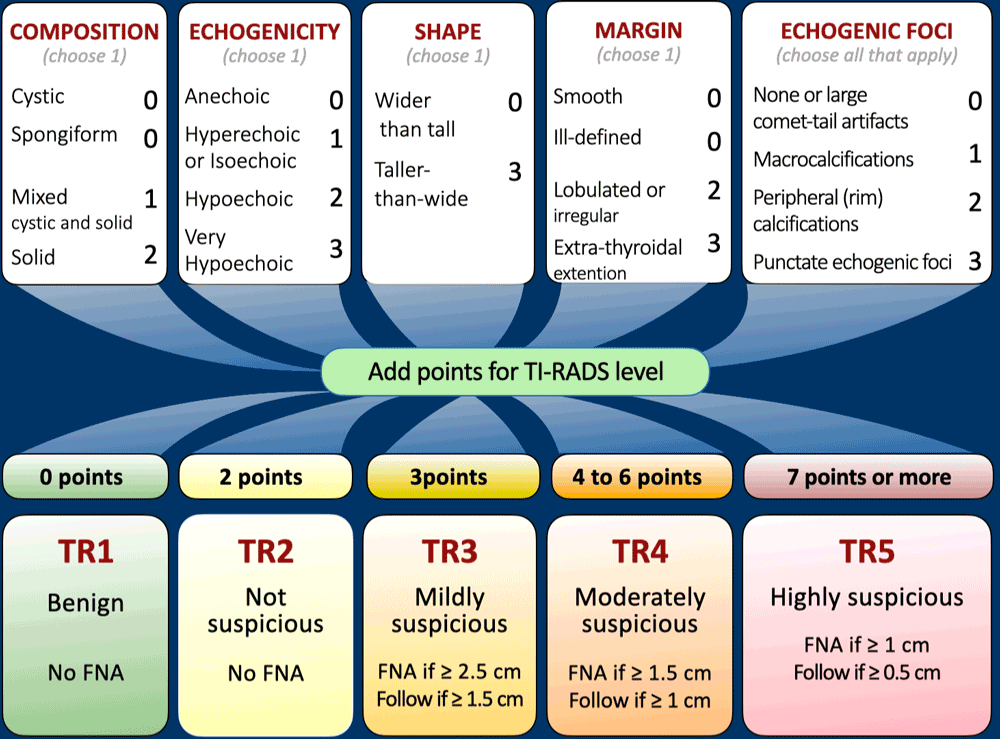 TI-RADS Calculator: USG Thyroid Nodule Score - RadioGyan